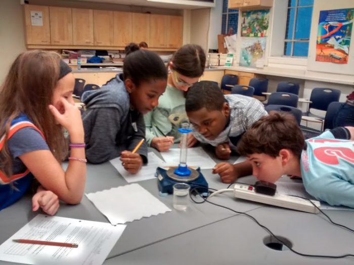 There’s More Than One Way to Skin a Squid: Lab Science in the Middle ...